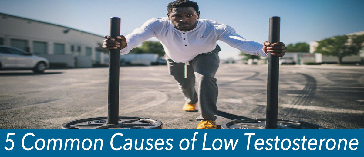 5 Common Causes of Low Testosterone – Gentech Nutrition